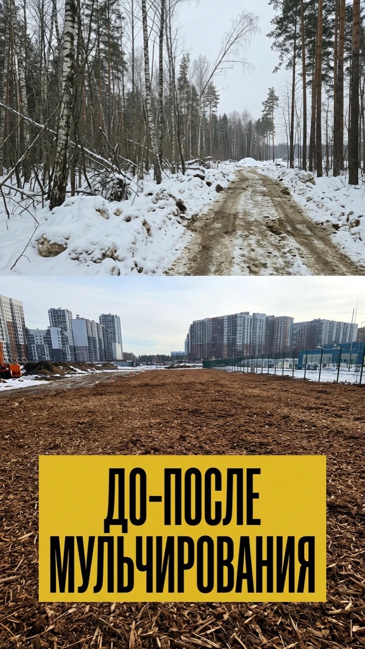 До-после мульчирования