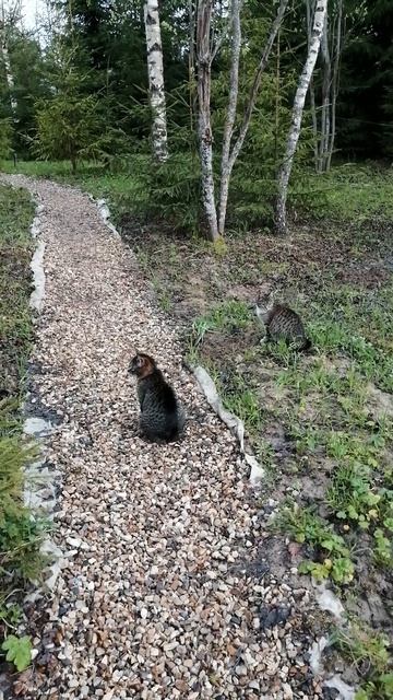 Маруся и Марфа.