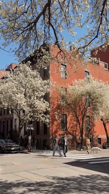 Нью-Йорк 🗽