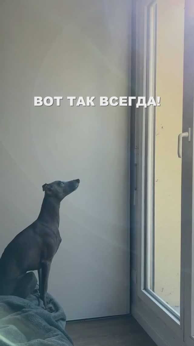 УТРЕННЯЯ МЕДИТАЦИЯ ПОД УГРОЗОЙ