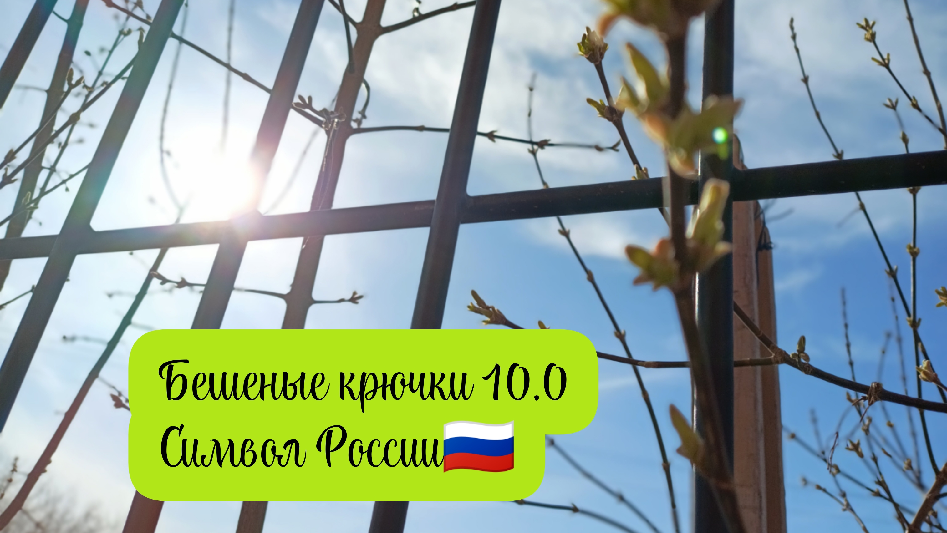 Вязальная активность "Бешеные крючки 10.0". Сила Богатырская. Отчет 2. Символ России. Матрешка🇷🇺🧶