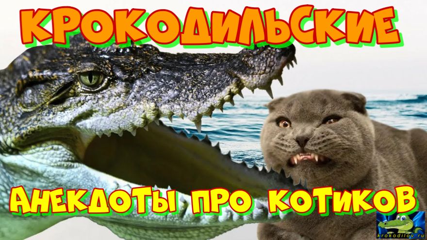 Крокодильские анекдоты про Котиков 1.