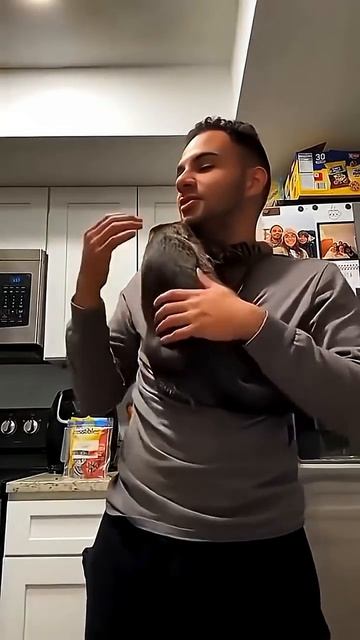 Выйду ночью в кухню с котом...