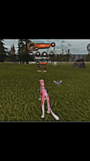 коллаб-эдит с Dasha Wild❤ ( моей подругой из рил жизни)