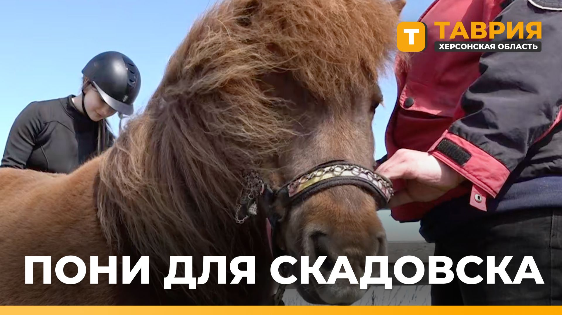 В Скадовский конный клуб привези три пони из Раденска