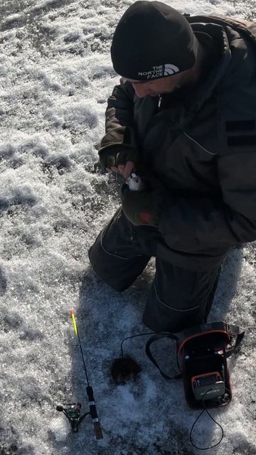 Кабан на блесну! Рыбалка на реке в конце сезона! Окунь активен! Видео уже на канале!