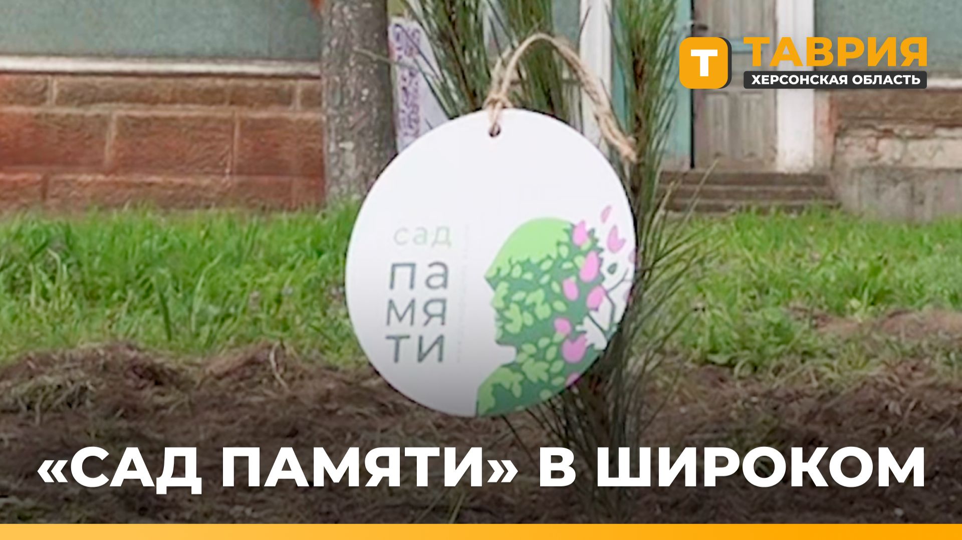 В Широком Скадовского округа в рамках акции "Сад Памяти" высадили молодые сосны