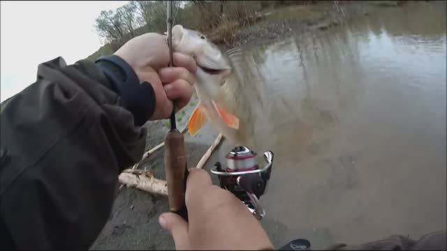 МОРМЫШИНГ, ОКУНИШКА НА МОРМЫШКУ