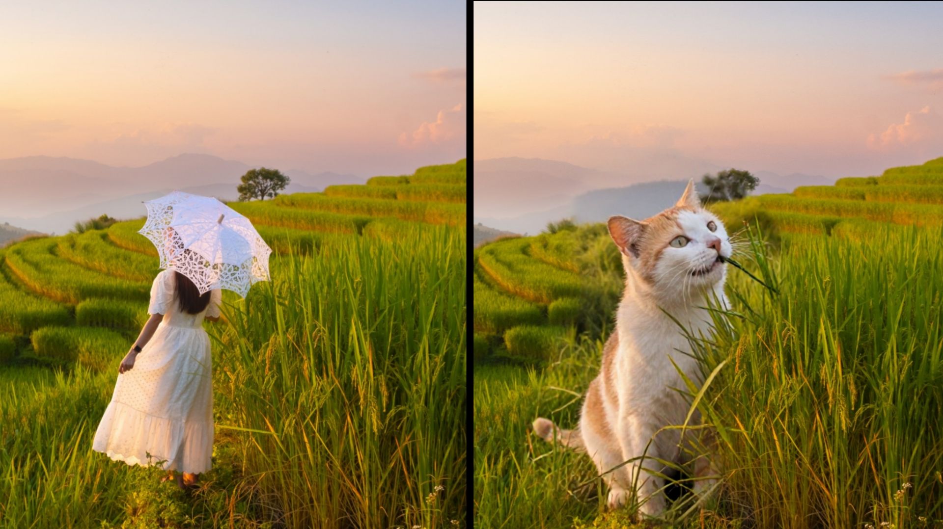 Генерация изображений в AliveColors: обзор параметров