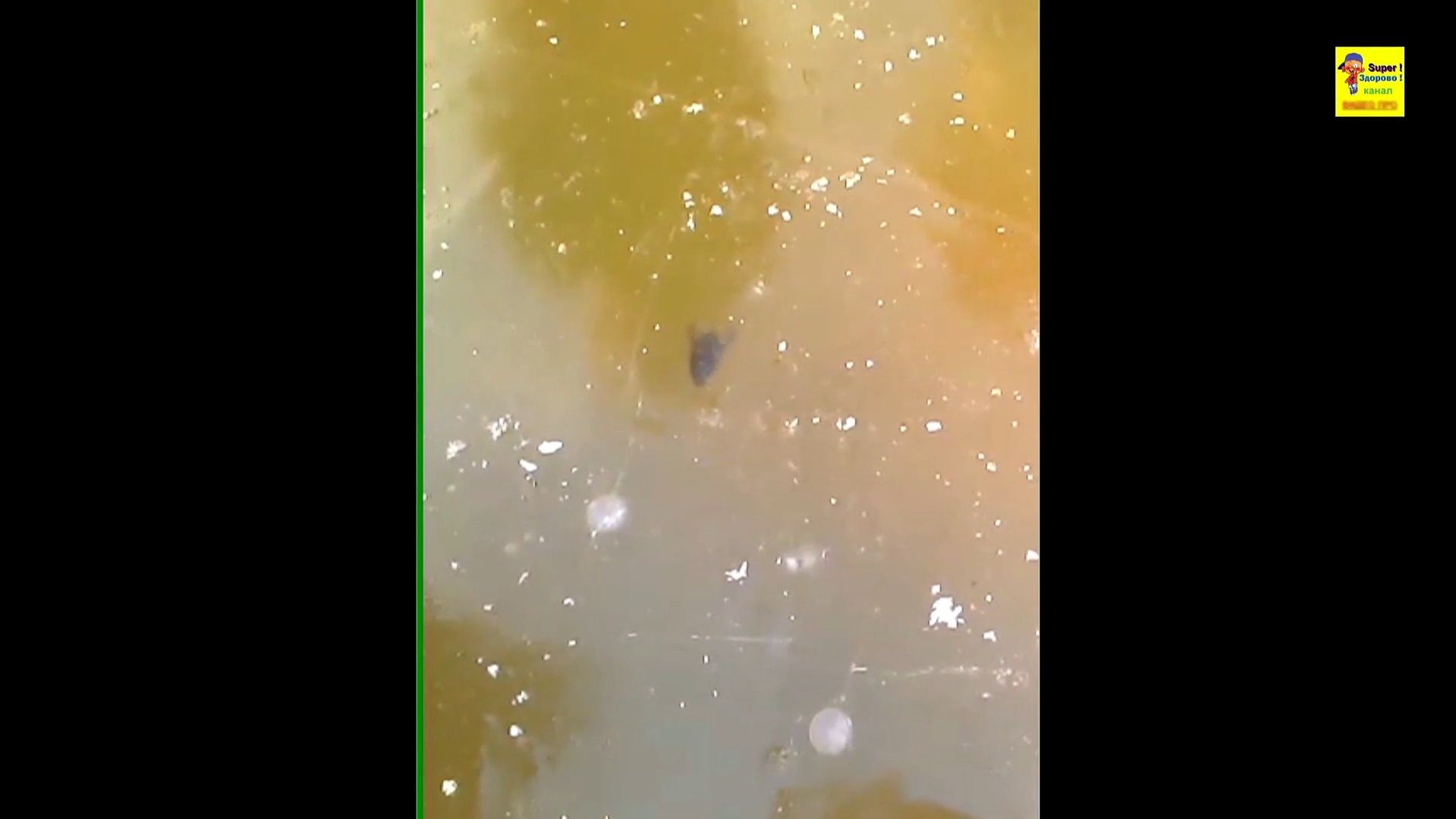 Гуляли на льду и тут такое