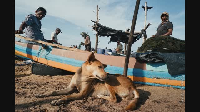Знакомство с творчеством Джонатан Джасберг