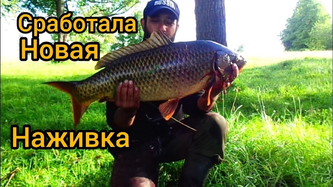 Руки трясутся от таких поклёвок, Рыбалка на Карпа