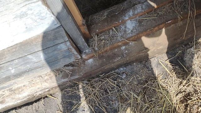 Ремонт погреба и создание курятника 2 в 1. 4 часть