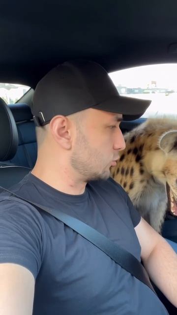 Когда пили оба, а накрыло по разному