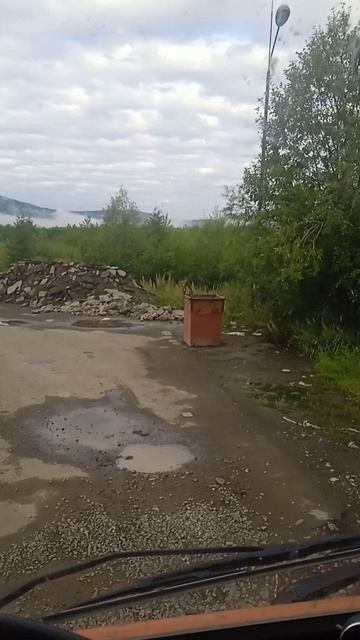 Лис на заправке (часть 1)
