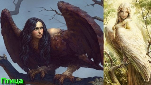 Разбор Терминов Волшебной Культуры от 09.04.26