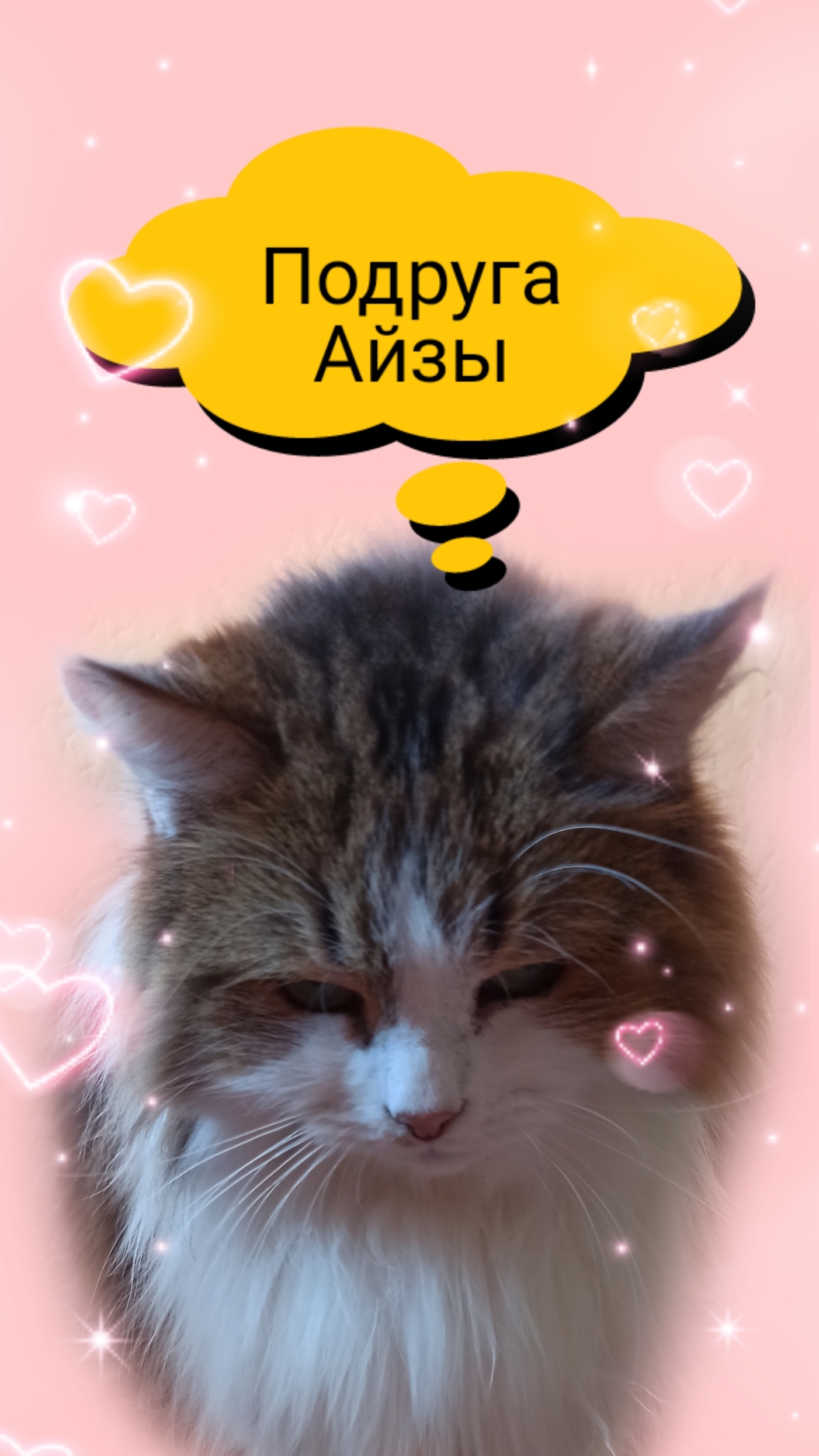 Знакомство собачки Айзы с Мусей 😄