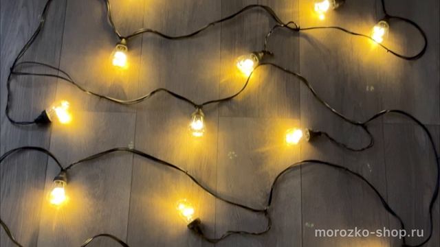 Гирлянда бахрома из лампочек Ламполайт 20 ламп с теплым белым светом, RL-i10*0.2-20S14-B/WW