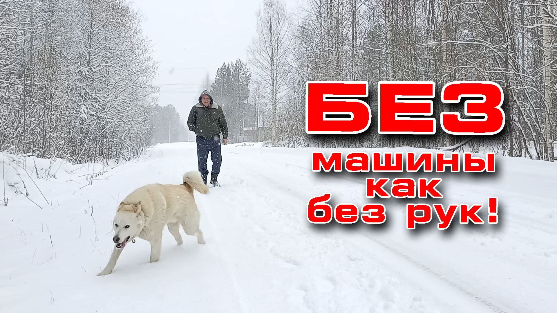 Без машины как без рук!