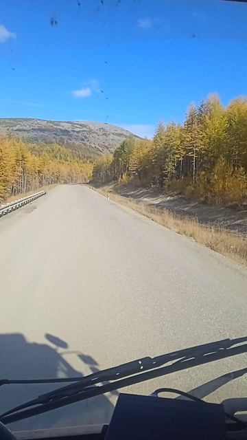 У нас осень