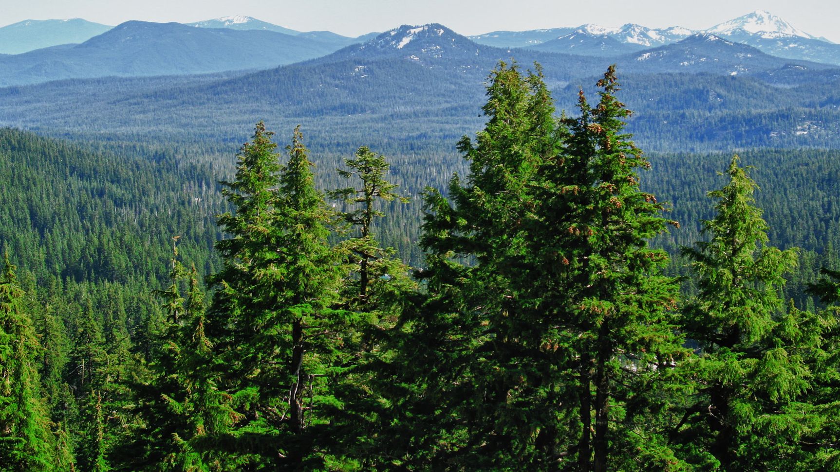 .Тайга.Таёжные истории. Истории егеря.