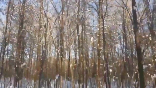 ходил по лесу ЧАСТЬ 3