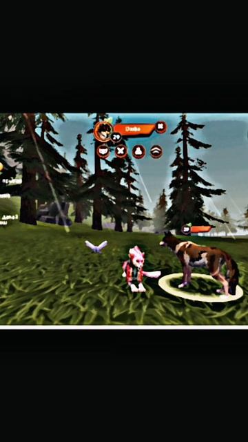 ещё коллаб-эдит с Dasha Wild❤