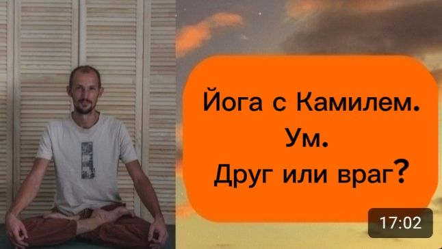 Ум. Друг или враг