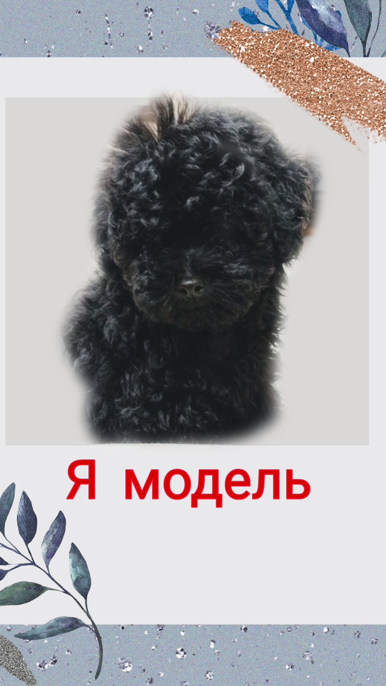 Собачка Айза. Фотографии.❤️