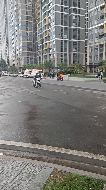 «Попались? Массовая проверка в Сайгоне»