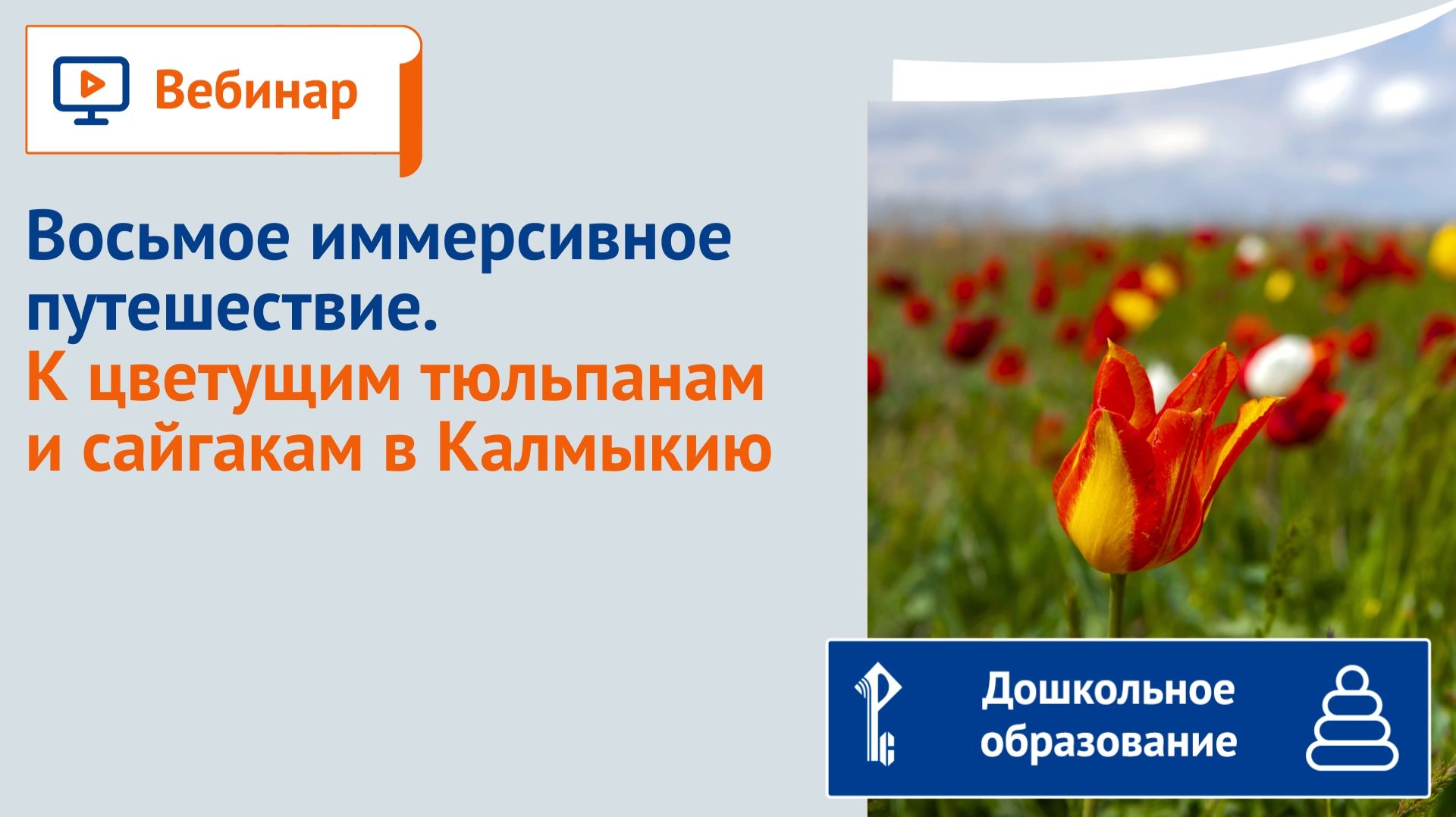Восьмое иммерсивное путешествие. К цветущим тюльпанам и сайгакам в Калмыкию