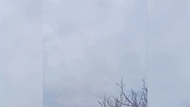 Работа постов воздушного наблюдения