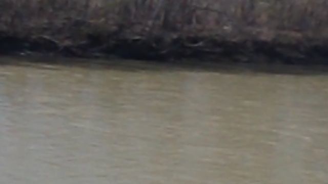 DSCN8619Апрель 2026 Набережная возле парка Невинномысск