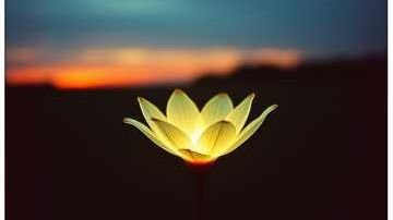 Мой Мир V55_1_0020