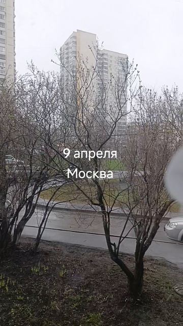 Опять зима в Москве