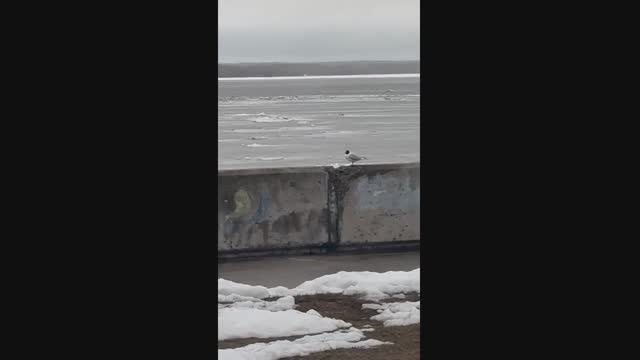 Ледоход на Волге