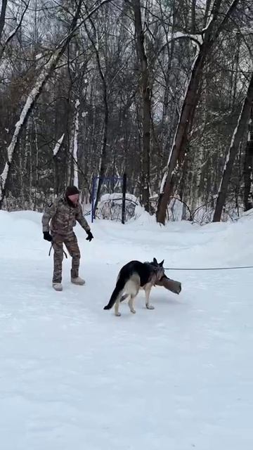 ВЕО Валентлайф Шерритэ (19мес), ЗКС, КЦ Сокольники - дополнительные занятия 2