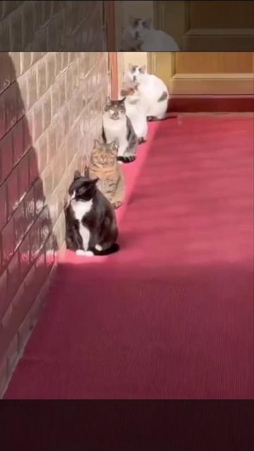 Зона подзарядки