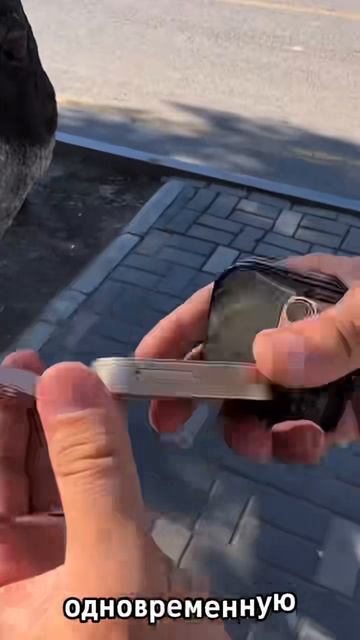 Лучшие находки! ✨