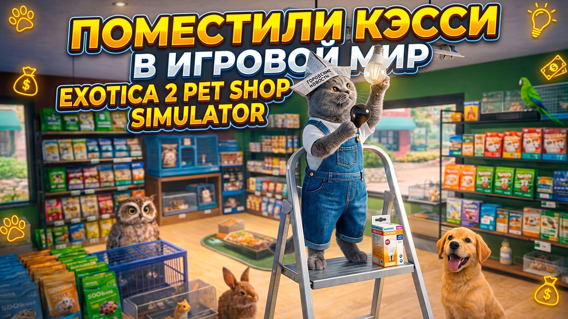 Поместили Кэсси в игровой мир Exotica 2: Pet Shop Simulator