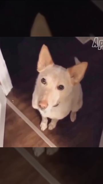 На что он намекает