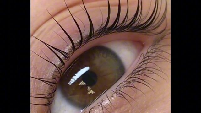 copy_78F22F51-3BAA-4704-9EA5-FE6F860BAA7D