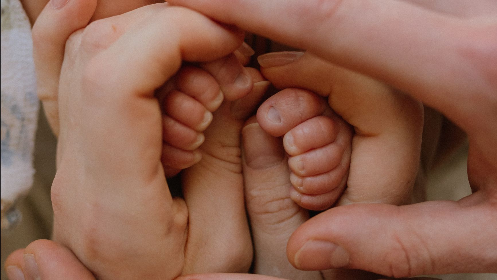 Выписка Лука (ролик)