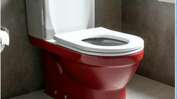 Установка новой крышки и сиденья унитаза.