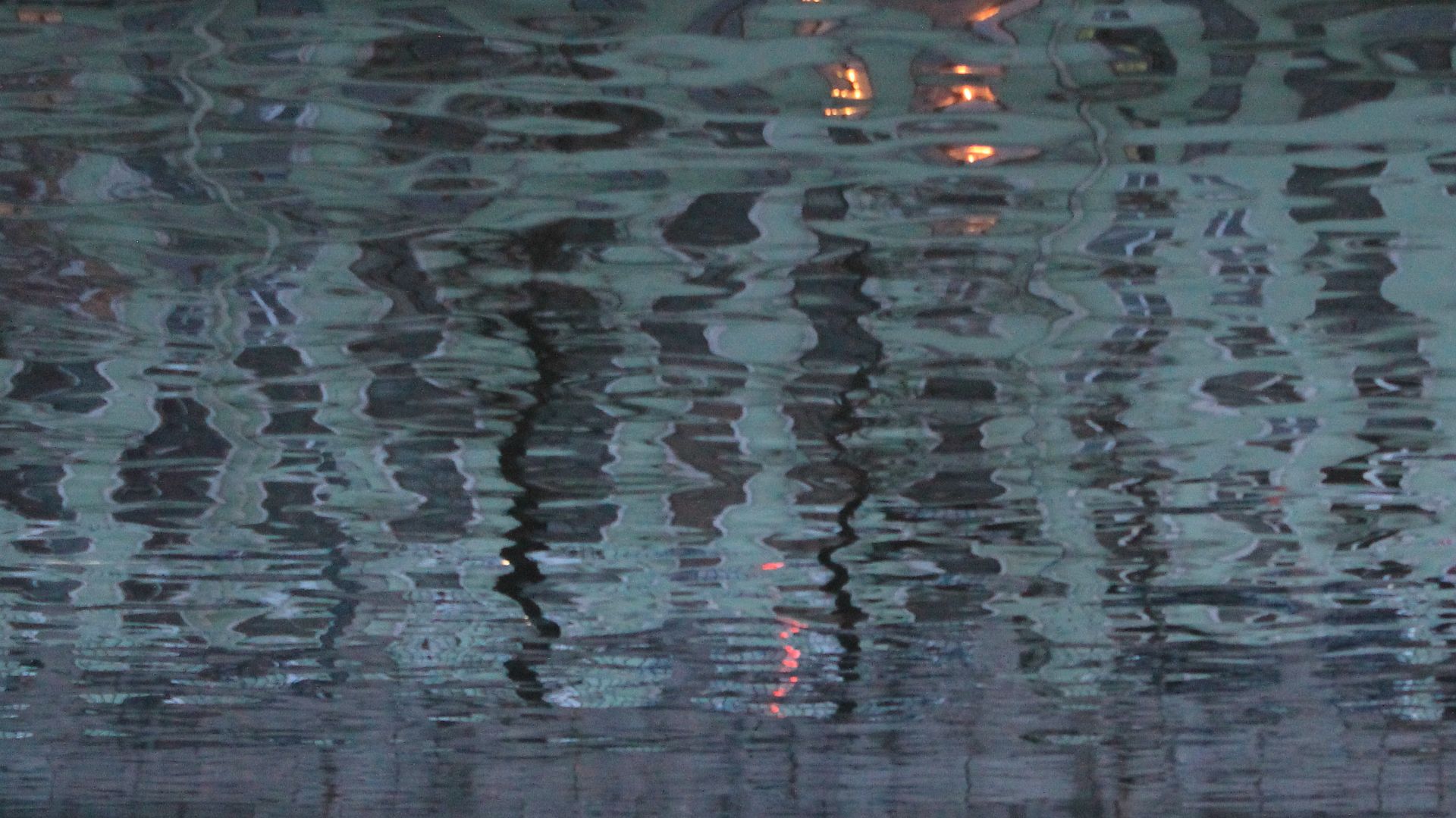 Петербург. Фотогения. 2015