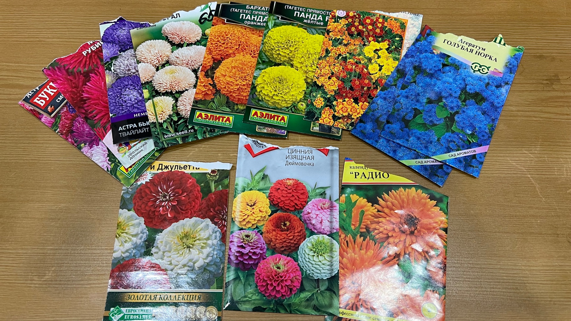 6 апреля. АСТРЫ, АГЕРАТУМ, БАРХАТЦЫ, ЦИНИИ, КАЛЕНДУЛА. Посадка на рассаду.