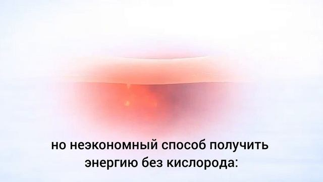 4. Развитие пролежней патогенез