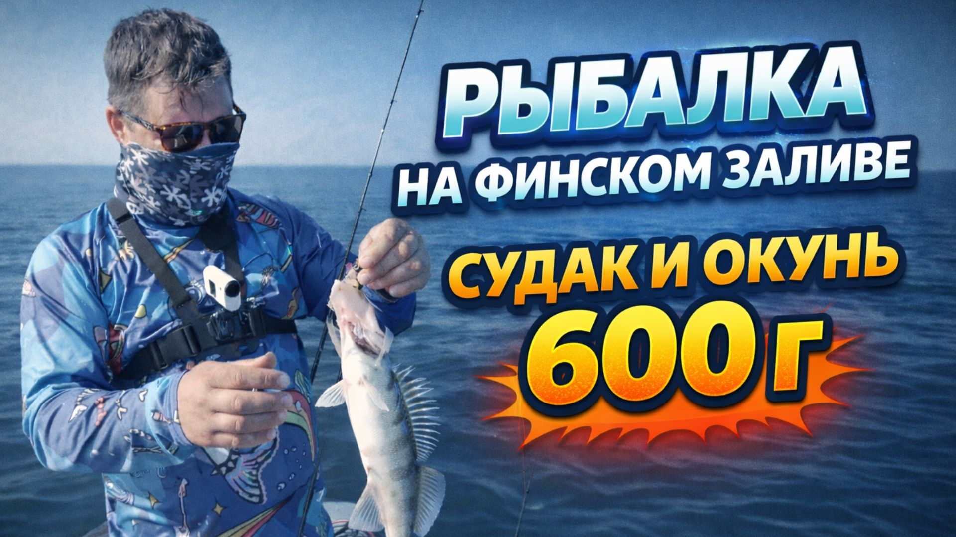 Финский залив , Сентябрь 2024 в поисках судака , Окунь на 600 гр