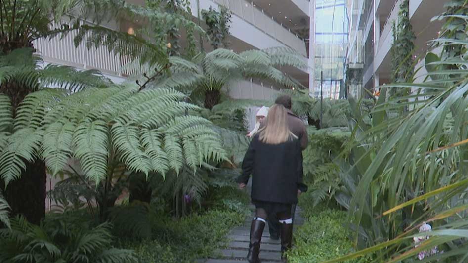 В 2025 году в Сочи собрали 853 миллиона рублей туристического налога