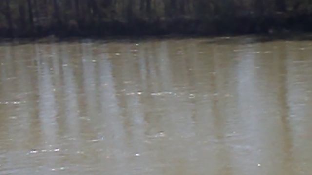 DSCN8617 Апрель 2026 Набережная возле парка Невинномысск